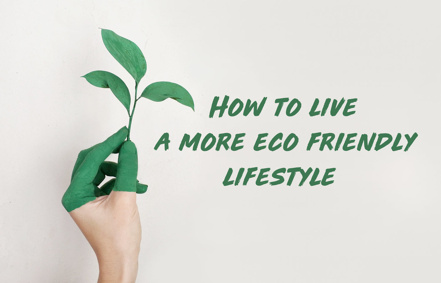 10 Easy ways to live a more Eco-Friendly life in 2020 - Ecoimpakt.com ...